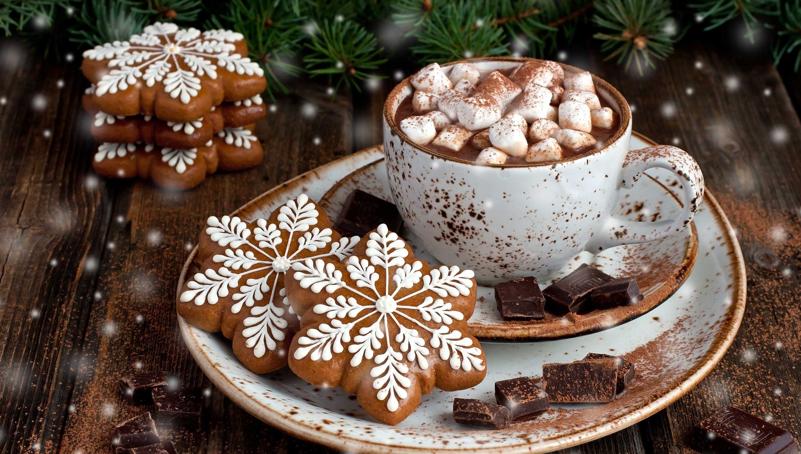 Healthy Holiday Tips - CentraState Fitness and Wellness